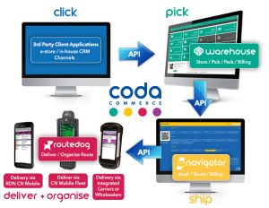 Coda software accounting - mertqstorage